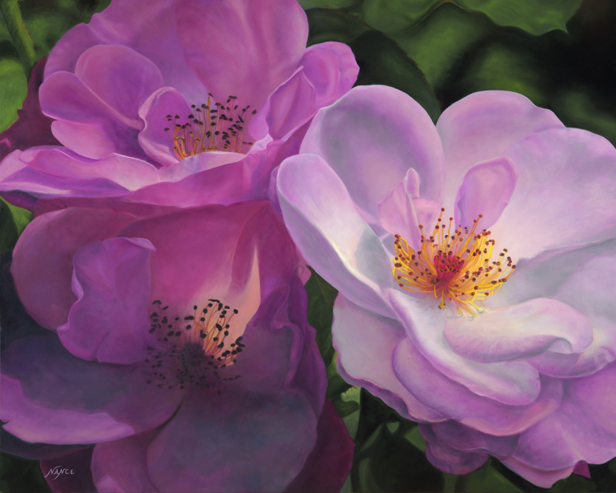 Big Pink 40x50s – Paintings by Nancy Balmert