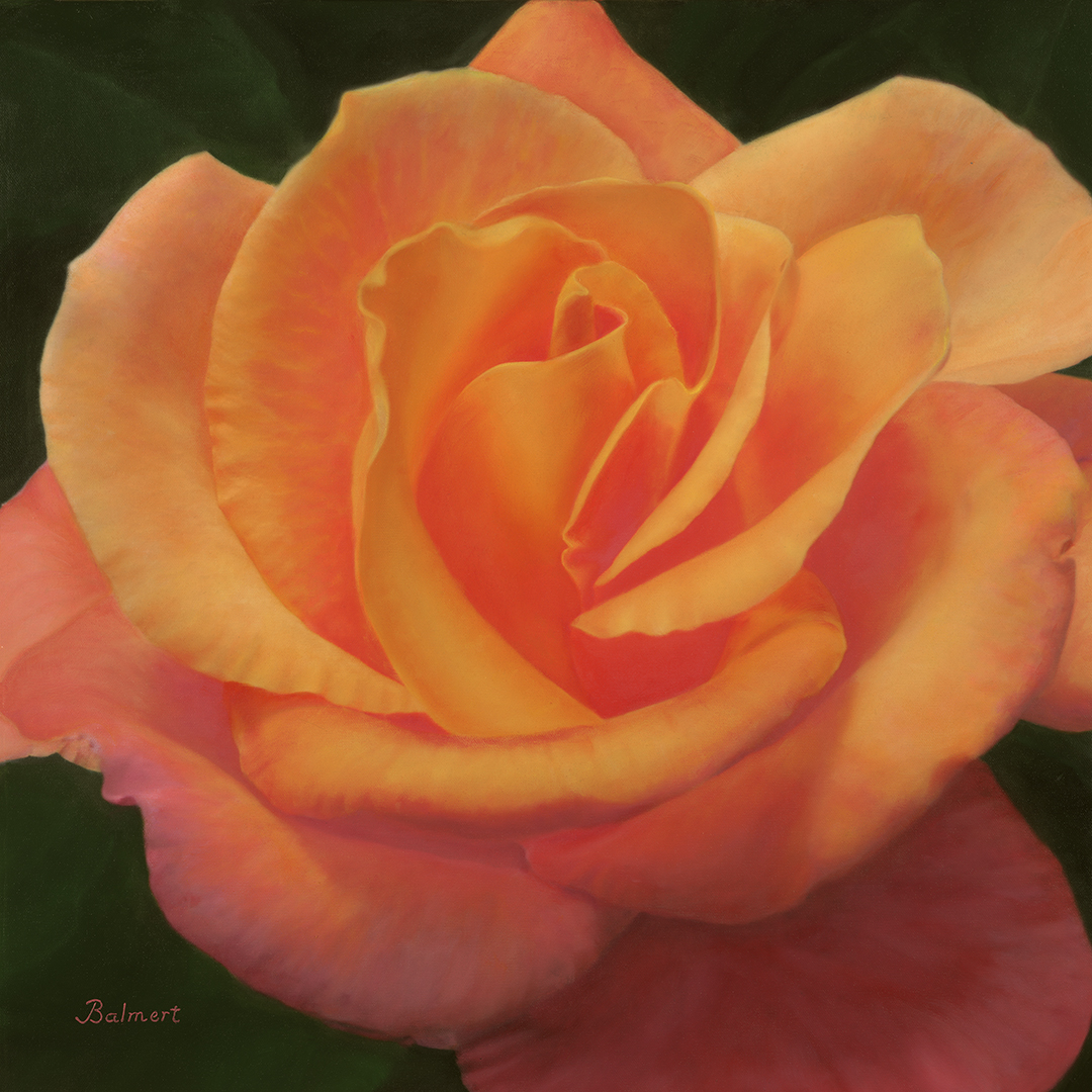 Mamma Mia Rose 24×24 – Paintings by Nancy Balmert