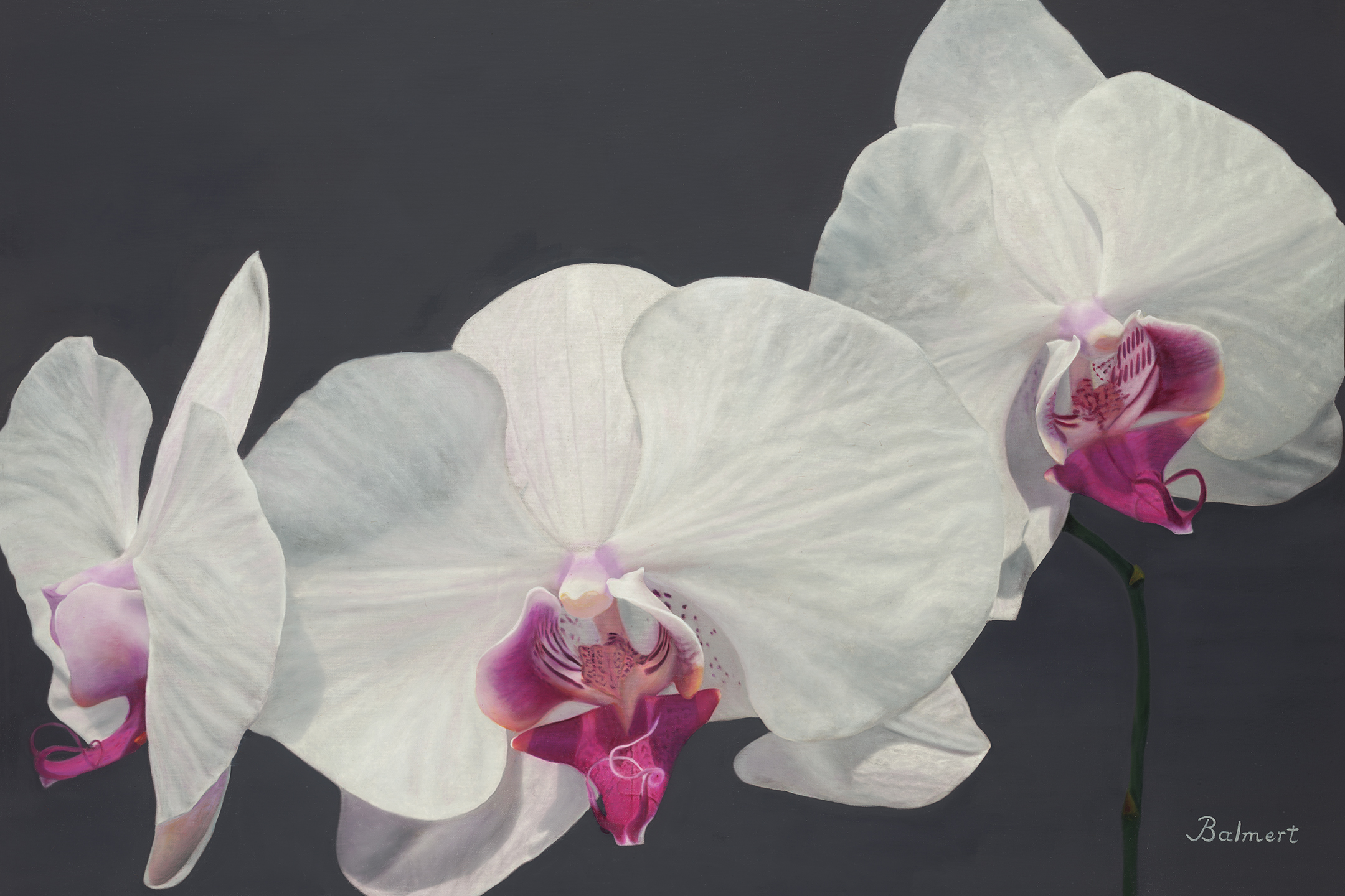 Awards – Paintings by Nancy Balmert